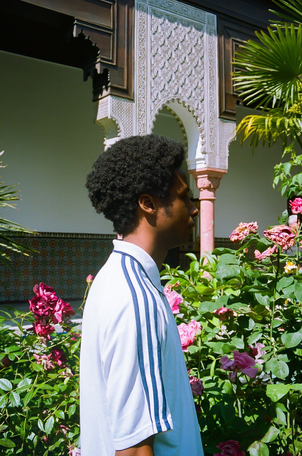 Gémellité : un entretien-photos sur le lien unique des jumeaux – POINT ...